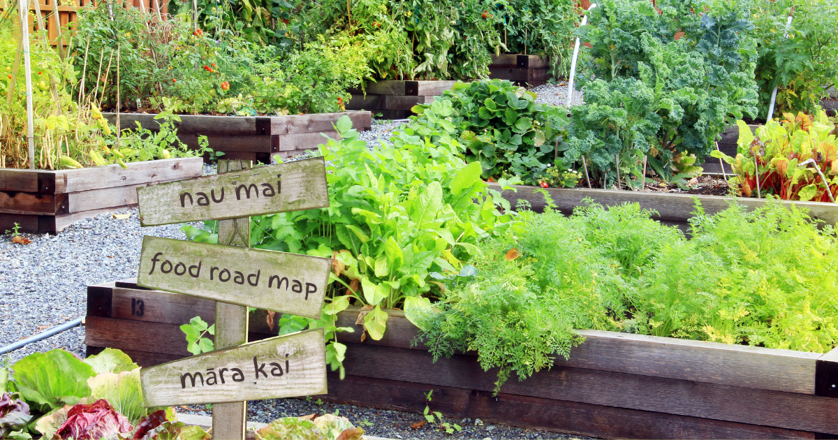 Food Road Map - Nourishing Hawke's Bay